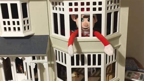 Elfie Has Been Making Himself At Home As The Countdown To Christmas Continues Cornish Uk