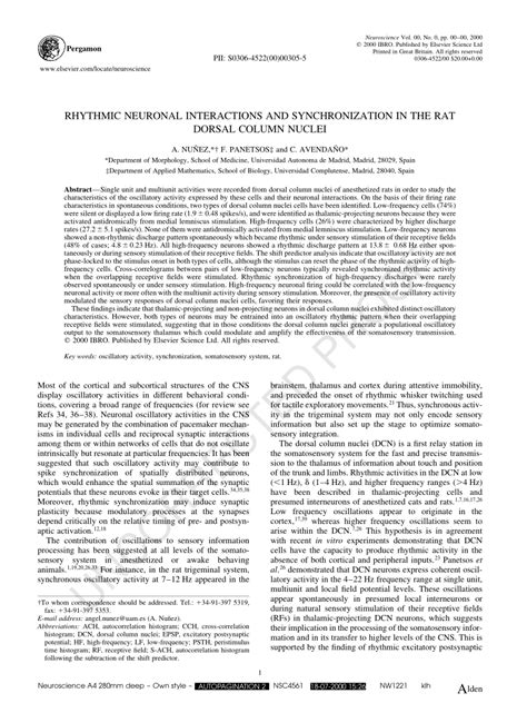 Pdf Rhythmic Neuronal Interactions And Synchronization In The Rat