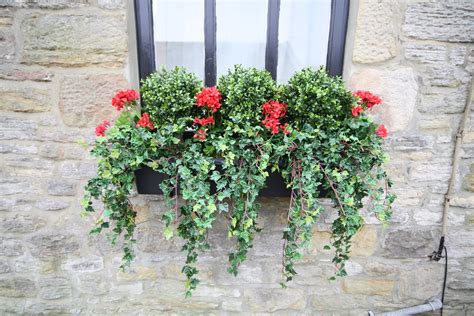 Artificial Topiary Balls Window Box With Geranium Flowers