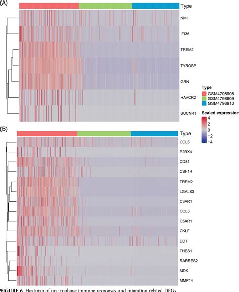 Figure 6 From Scrna Seq Reveals The Correlation Between M2 Phenotype Of Tumor Associated