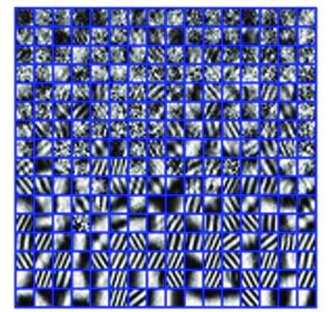 Example Of Learned Dictionary Using Dcdet 1 From The Barbara Image