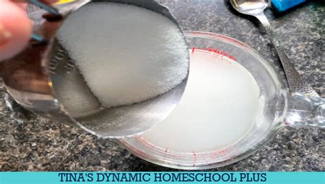 How To Make A Cool Fibonacci Lemonade And 8 Things To Learn About Fibonacci