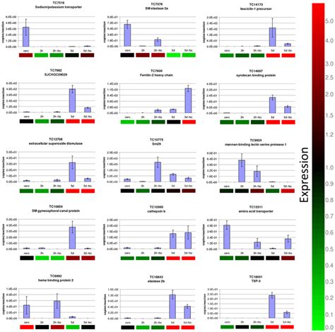 Validation Of A Subset Of Differentially Expressed Genes In 3 H And 5
