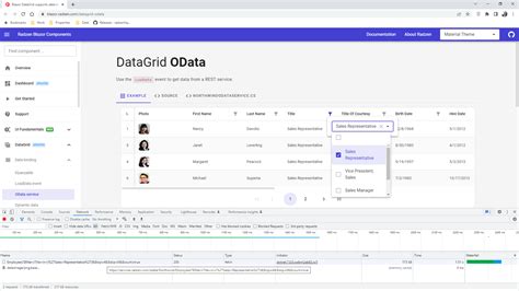 Radzendatagrid Odata With Custom Filtering Using Multi Select