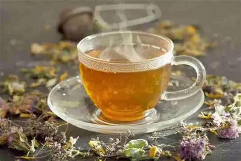 Refreshing Pennyroyal Tea Recipe Best Tea Crafter