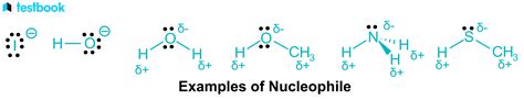 Difference Between Electrophile And Nucleophile Meaning Reaction