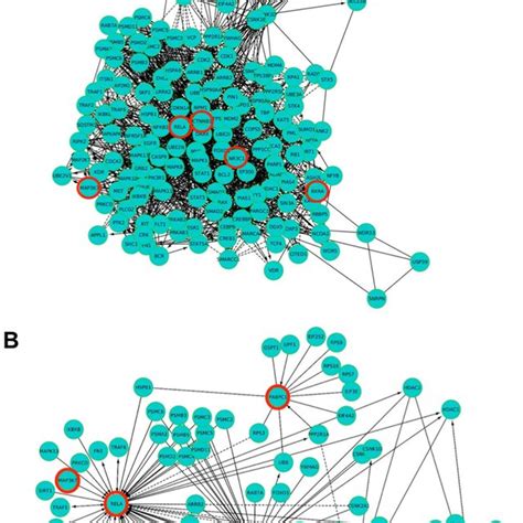 A Functional Interaction Network Of 156 Linking Nodes B Detailed Download Scientific