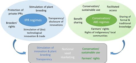 Norm Conflicts And Interplay In Seed Governance Own Compilation Download Scientific Diagram