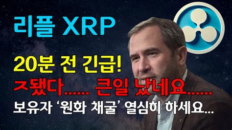 리플 보유자분들 월급 열심히 모아야할 듯 Youtube