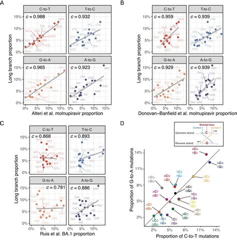 Mutation Spectrum Analysis Supports A Molnupiravir Origin For High