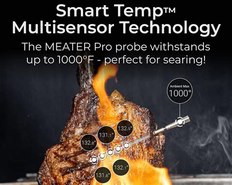 Buy Meater Pro Xl 4 Probe Wireless Smart Meat Thermometer At Barbeques Galore