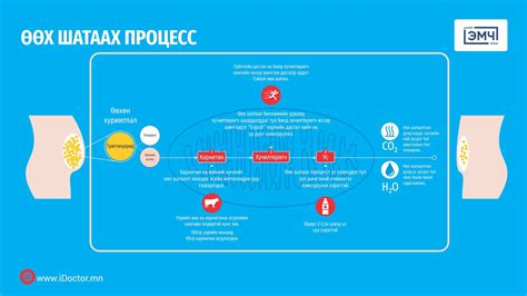 Уурын зууханд өрнөх өөх шатаалт Idoctor Mn