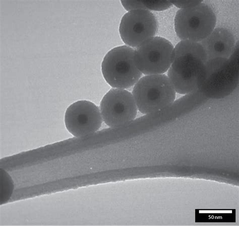 Guide To Nanoparticle Characterization Techniques Delong America