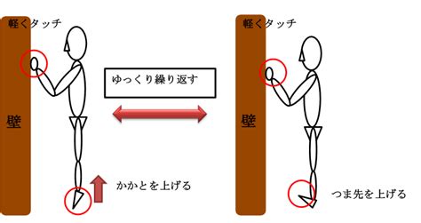 自宅で出来るつま先立ちとかかと上げ運動（手軽に筋力トレーニング） 三島郡島本町、水無瀬の整体・鍼灸院ならだるころ治療院 だぁ～るまさん