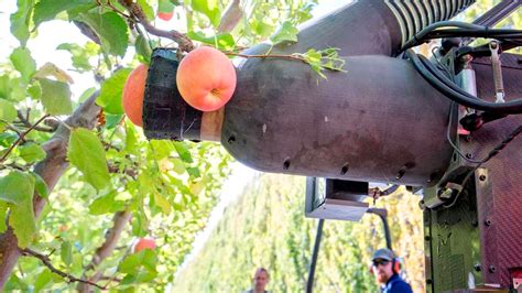 Robotic Apple Picker Trials Continue In Washington Youtube