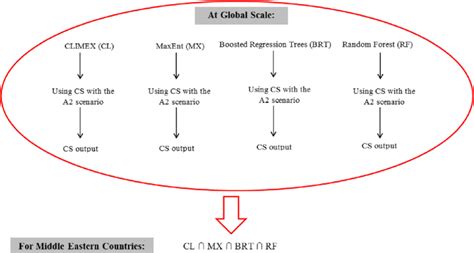 Data Processing Methodology Download Scientific Diagram