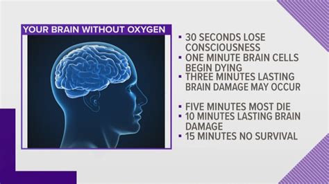 Your Brain Can Survive For Five To 10 Minutes Without Oxygen The Fact Base