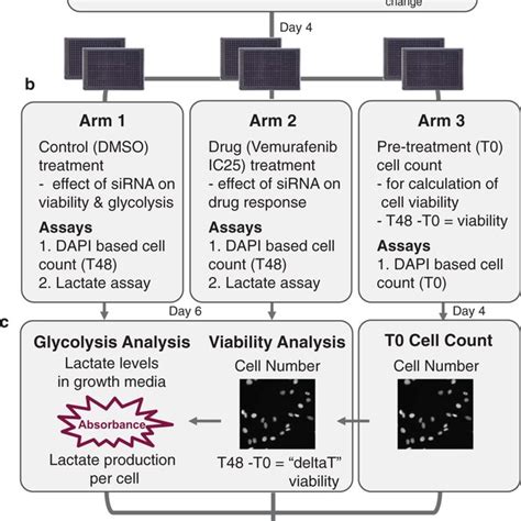 Hit Classification Strategy Applied To The Genome Wide Primary Screen