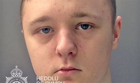 Teenager 19 Who Blackmailed And Sexually Abused 37 Girls Online Is