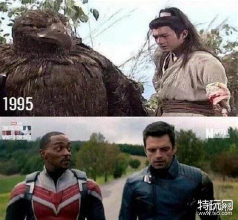 杨过与雕是什么梗 杨过与雕梗介绍特玩网