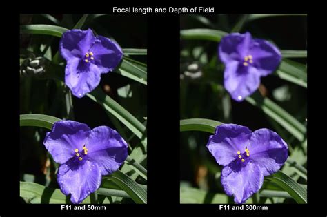 Distance Focal Length And Depth Of Field The Photo Classroom