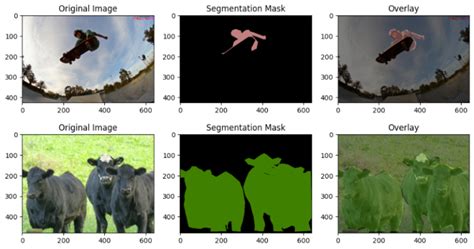 Pretraining Semantic Segmentation Model On Coco Dataset