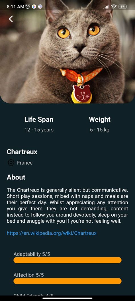 Github Estarly07 Cat Api