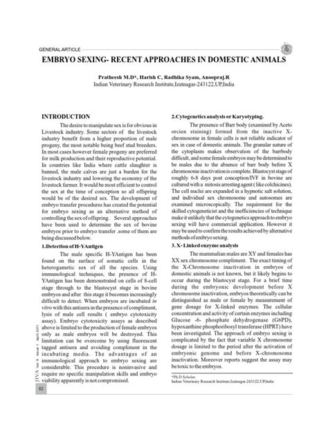Lamp Technique Embryo Sexing Pdf Polymerase Chain Reaction Chromosome