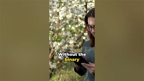 binary search tree dsa programming technology computerscience computerprogramming python
