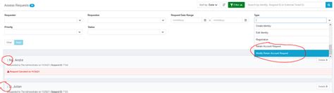 Custom Requesttype Not Displayed Correctly In Ui Iiq Discussion And Questions Sailpoint