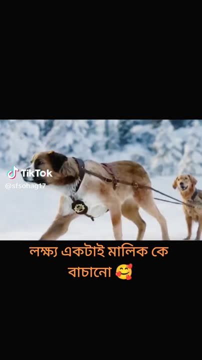 Anis Ahmed Siddeque On Linkedin Amazon Software Softwaremarketing