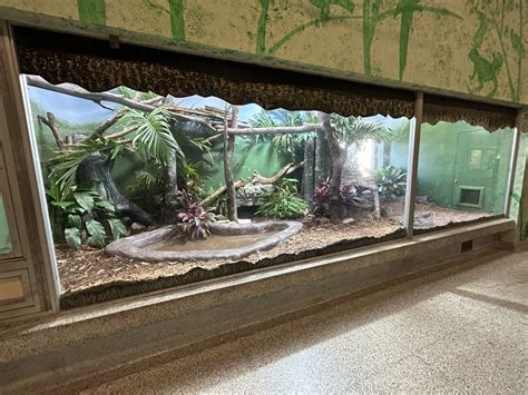 Expanded Reticulated Python Exhibit Zoochat
