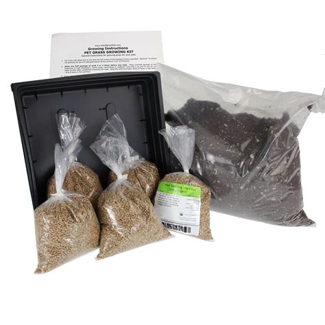 Organic Dog And Cat Wheatgrass Growing Kit For Pet Dogs Cats And Pets