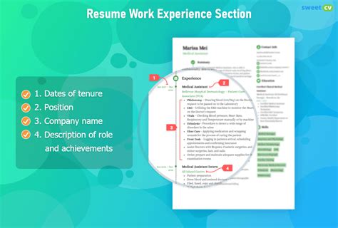 resume work experience how to write employment history section
