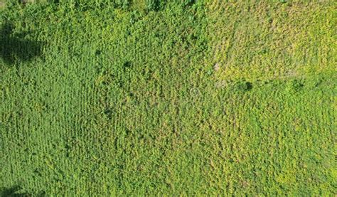 Ariel Ground Texture Stock Photos Free Royalty Free Stock Photos From Dreamstime