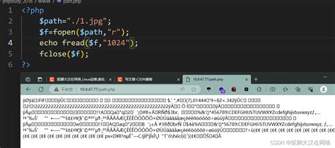 任意文件读取漏洞 Arbitrary File Readdownload Vulnerabilityewebs Arbitrary 任意文件读取漏洞 Arbitrary File Readdownload Vulnerabilityewebs Arbitrary