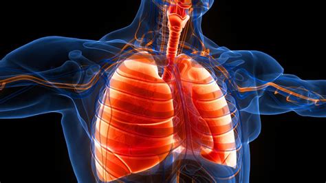 Ats Amgen Az Say Data Backs Tezspires Role In Copd Pharmaphorum