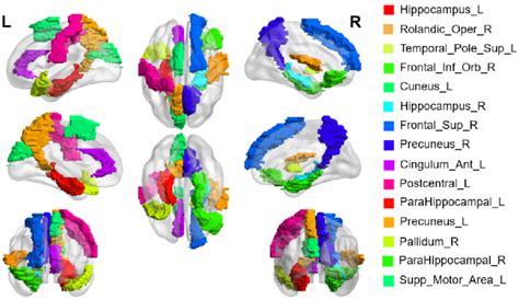 discriminative brain regions download scientific diagram