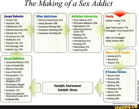The Making Of A Sex Addict Other Addictions Sexual Behavior Addiction The Making Of A Sex Addict Other Addictions Sexual Behavior Addiction