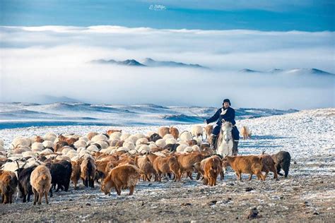 Малчдад 6 хувийн хүүтэй 50 хүртэлх сая төгрөгийн зээл олгоно Chuhag