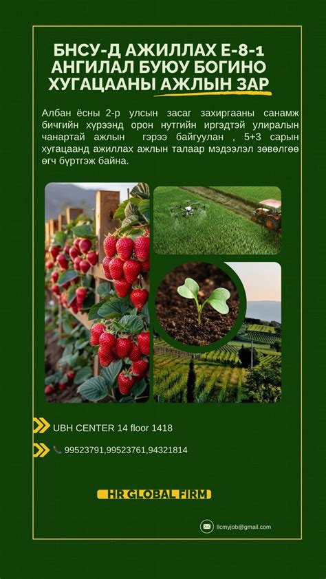 Залуучуудын Hr Global Firm Llc Монгол дахь албан ёсны төлөөлөгч консалтинг зөвлөх