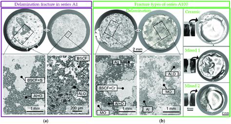 A Typical Delamination Fracture Surfaces Of Series A1 And B Typical Download Scientific