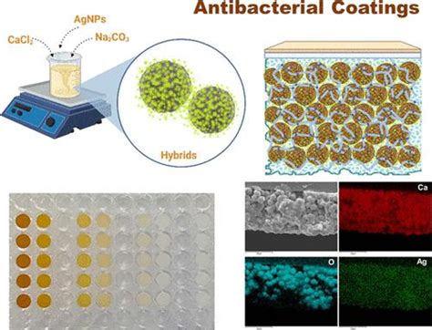 基于 CaCO3 纳米银杂化物的杀菌涂层的纳米结构 ACS Applied Bio Materials X MOL