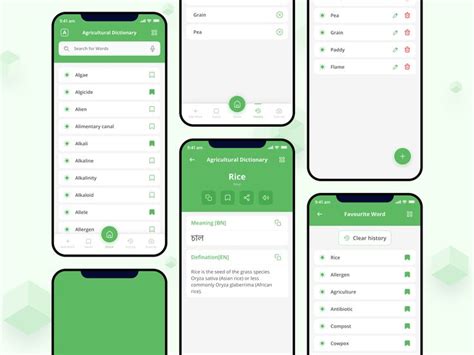 Dictionary App Ui Mobile Ui Patterns