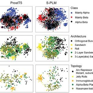 PDF SPLM StructureAware Protein Language Model Via Contrastive Learning Between Sequence