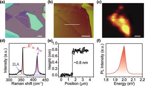 Preparation And Characterization Of Monolayer Ws 2 A Optical Image Download Scientific