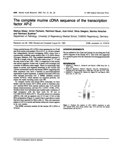 Pdf The Complete Murine Cdna Sequence Of The Transcription Factor Ap 2