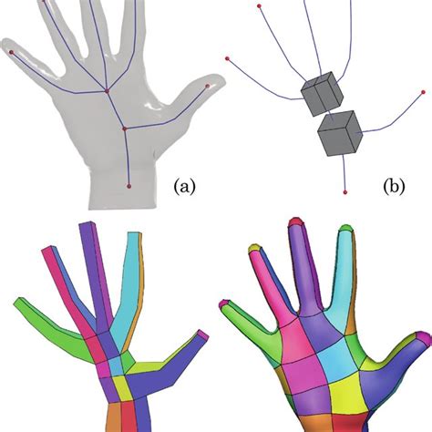 Pdf Extraction Of The Quad Layout Of A Triangle Mesh Guided By Its Curve Skeleton