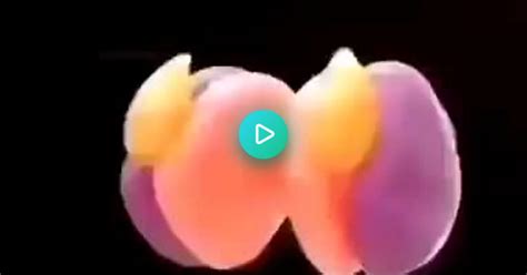 Brain Layer Album On Imgur