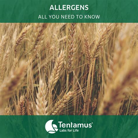 Tentamus ⚠️ Incorrect Or Missing Allergen Declarations Remain A Common Reason For Food
